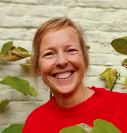 BlinkTeam | BlinkOut